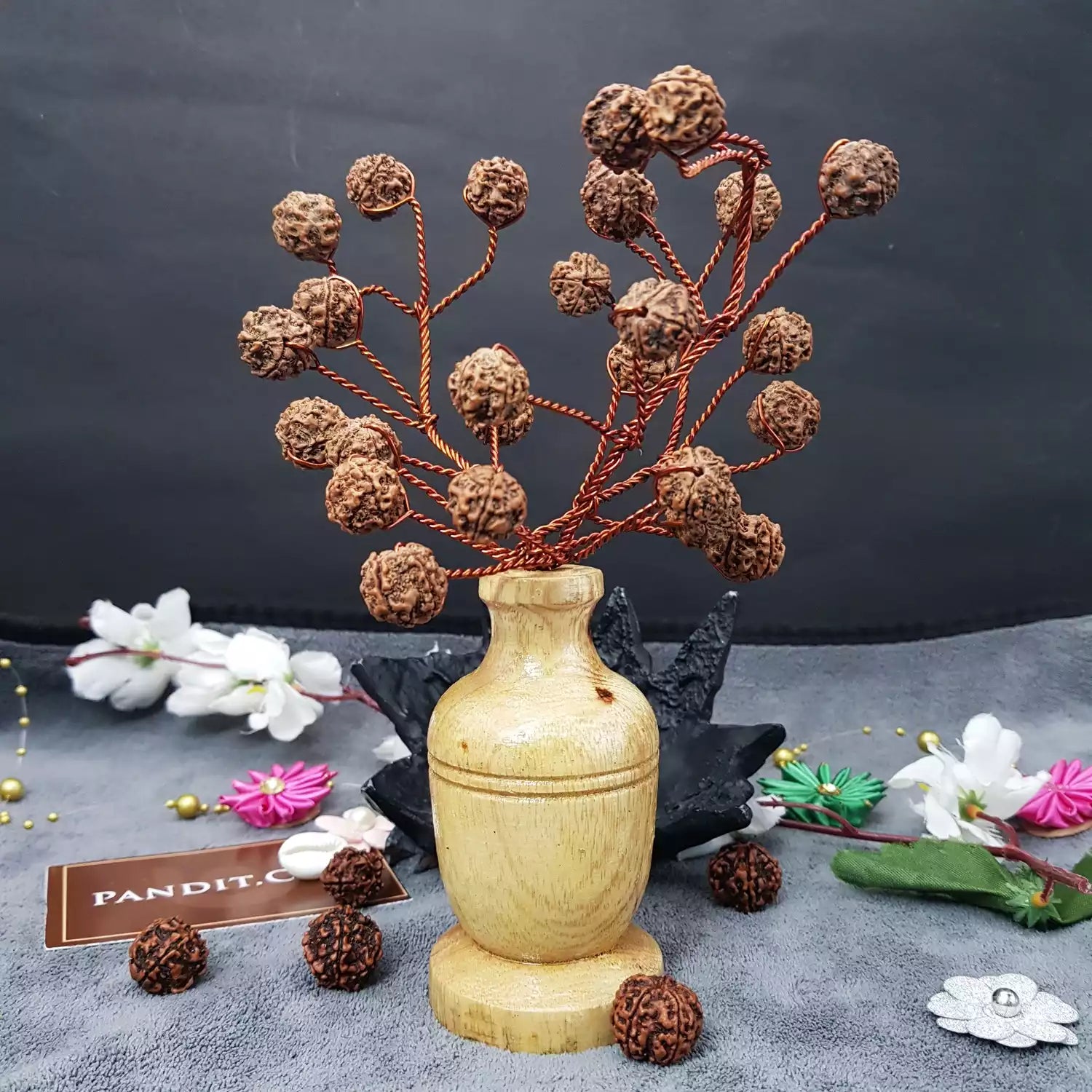 Five Mukhi Nepali Rudraksha Tree - MahaGuru