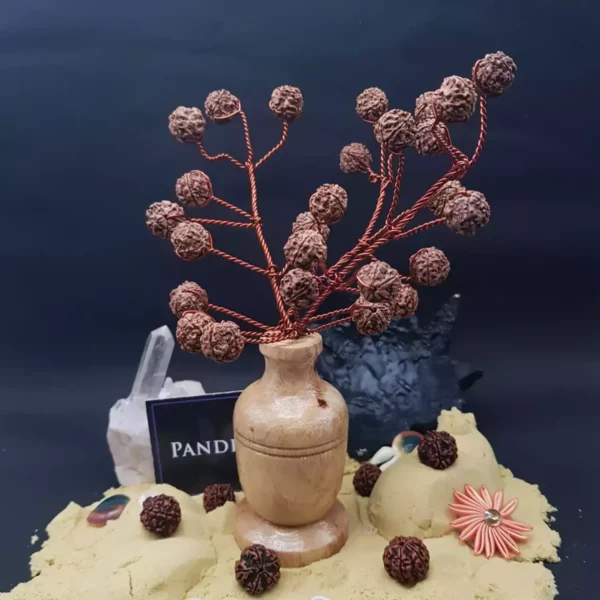 Five Mukhi Nepali Rudraksha Tree - MahaGuru