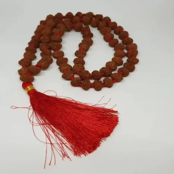 Ganesh Nepal Rudraksha Mala - To Control Ketu & Sharpen Brain - MahaGuru