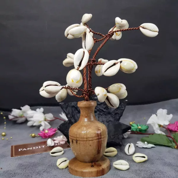 Grey Kaudi Tree - MahaGuru