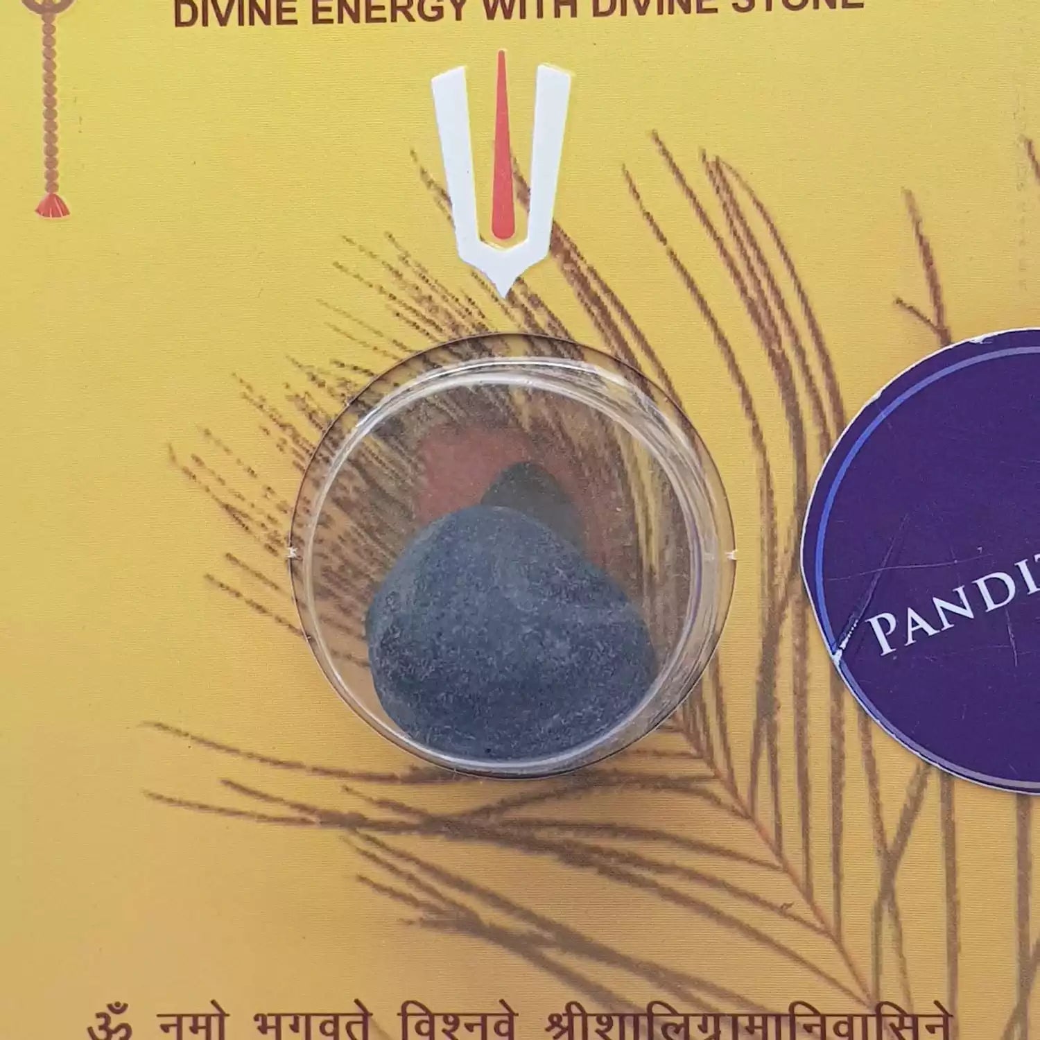 Shri Santan Gopal Shaligram - MahaGuru