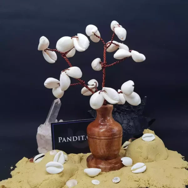 White Kaudi Tree - MahaGuru