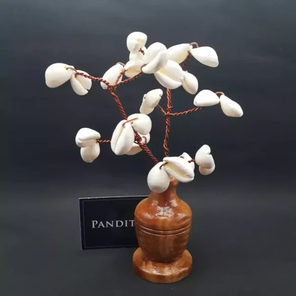 White Kaudi Tree - MahaGuru