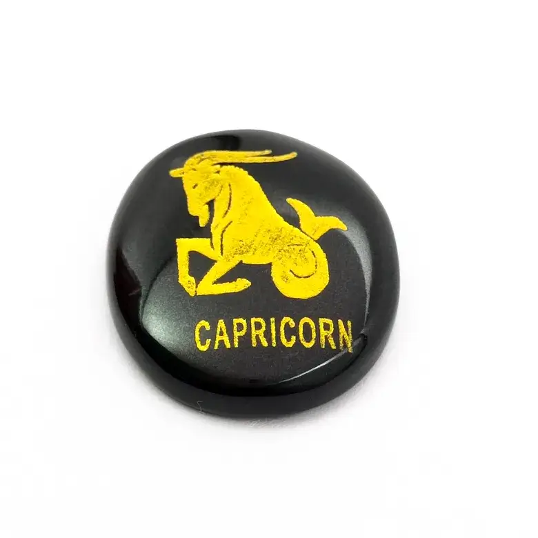 Capricorn Zodiac Sign Coin - MahaGuru