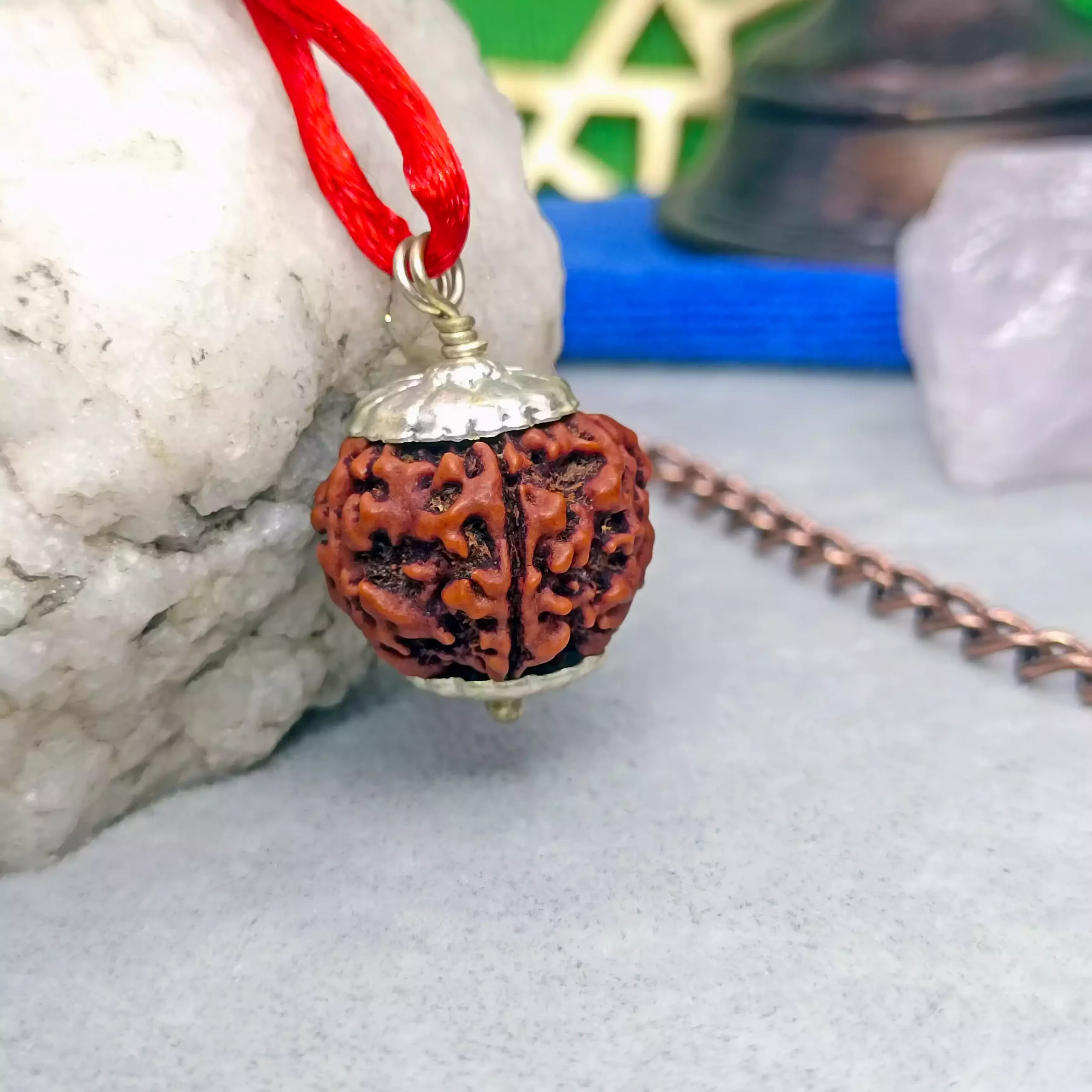 5 Faced Rudraksha - Nepal - MahaGuru