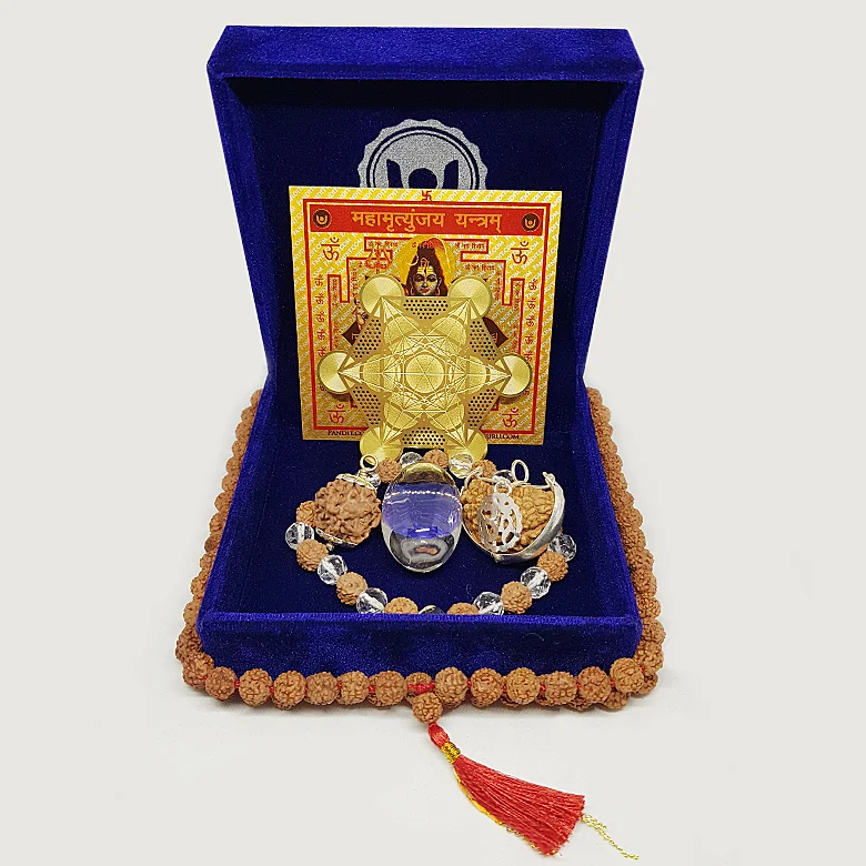 Mahamrityunjaya Kit - MahaGuru