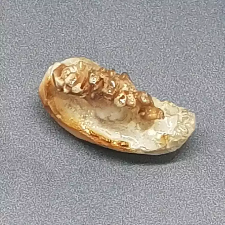 Natural Chandra Mani - MahaGuru