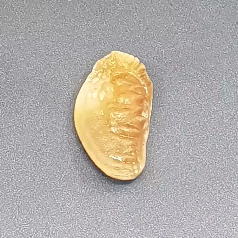 Natural Shukra Mani - MahaGuru