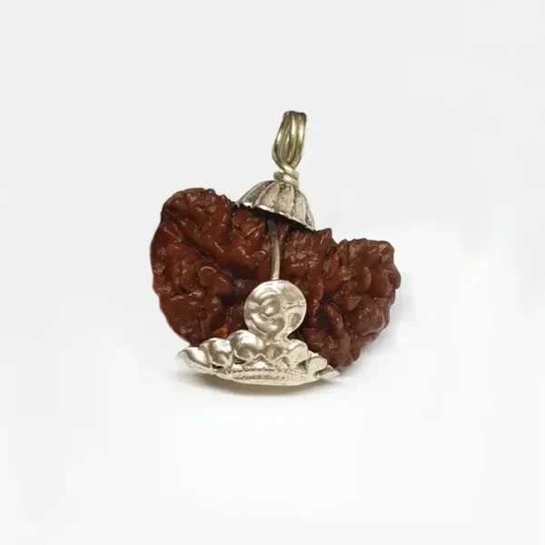 1 Faced Rudraksha - India - MahaGuru