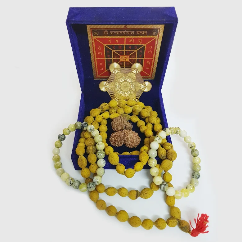 Santan Prapti Kit - MahaGuru