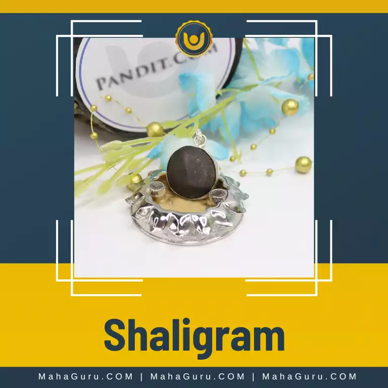 Shaligram Stones for Divine Blessings & Protection | MahaGuru